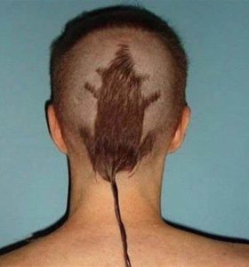 41 Craziest Funny Haircuts and Hairstyles 2025 (With Pictures ...