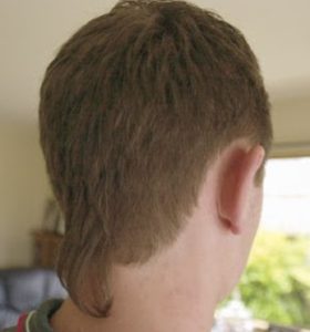 30 Stylish Rat Tail Haircuts 2025 (With Pictures) | Straightener Lab